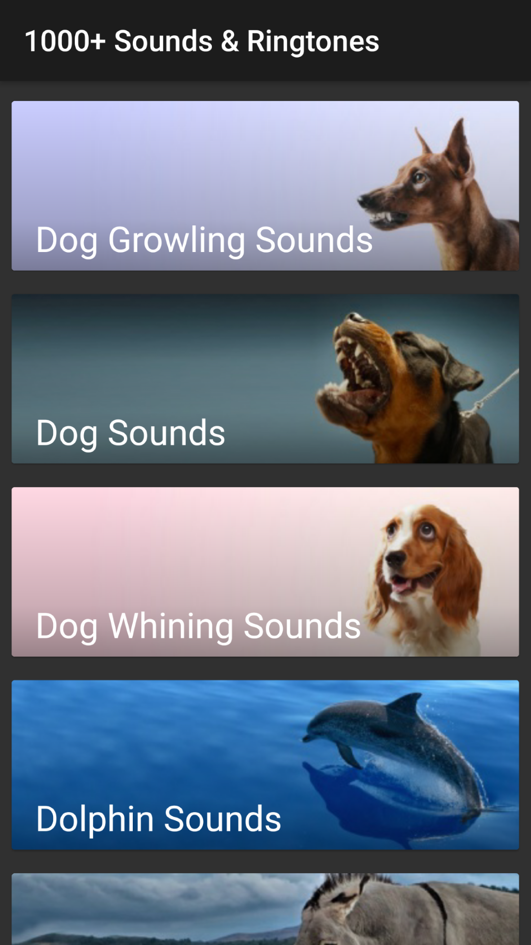 1000+ Sounds & Ringtones:Amazon.com:Appstore for Android