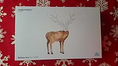 Amazon.com: Huion Inspiroy H640P Graphics Drawing Tablet with Battery ...