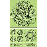 Amazon.com: Inkadinkado Gear Kit Cling Stamp Set : Arts, Crafts & Sewing