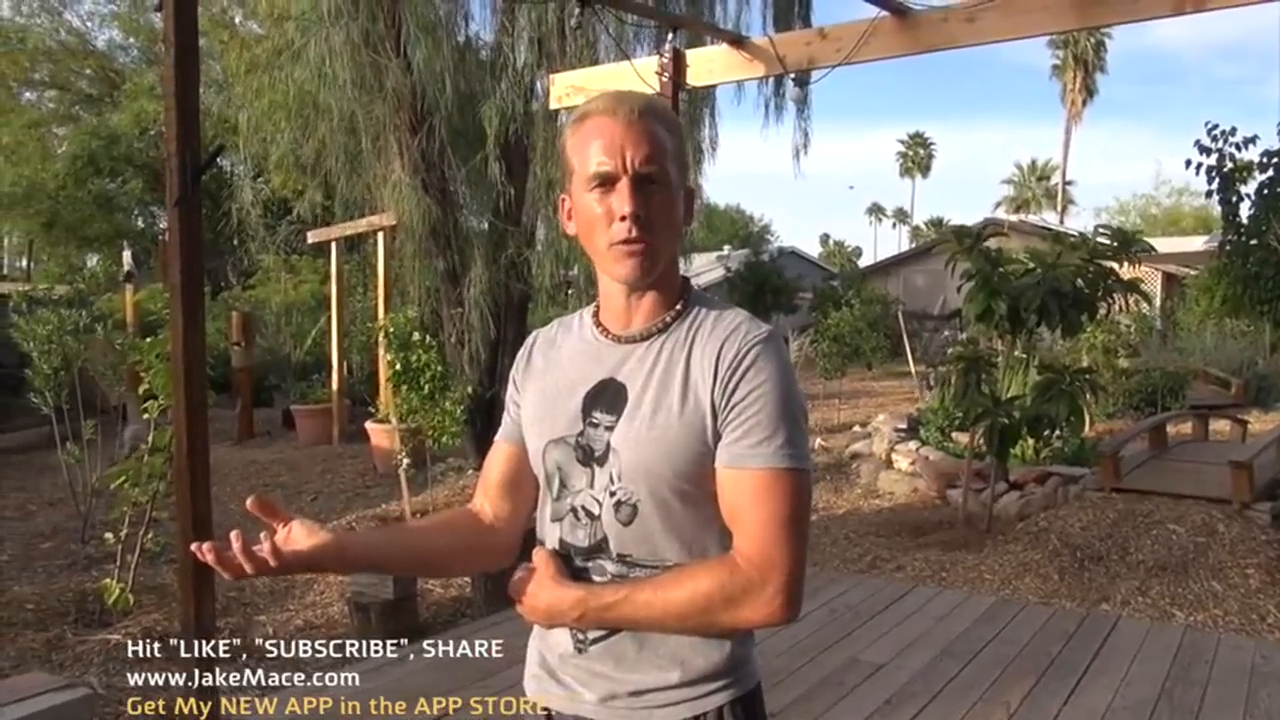 Jake Mace Kung Fu & Tai-Chi - App on the Amazon Appstore