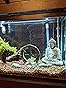 Fluval M50 Submersible Heater, 50-Watt Heater for Aquariums up to 15 ...