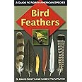 Bird Feathers: A Guide to North American Species: Scott, S. David ...