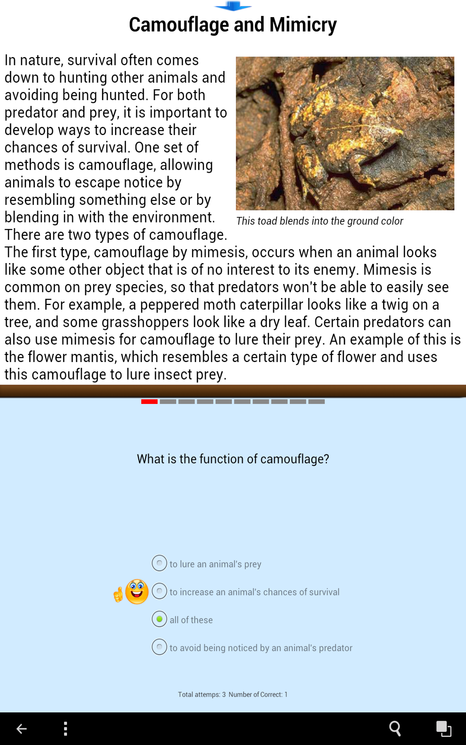 What Is Comprehension In Reading Pdf