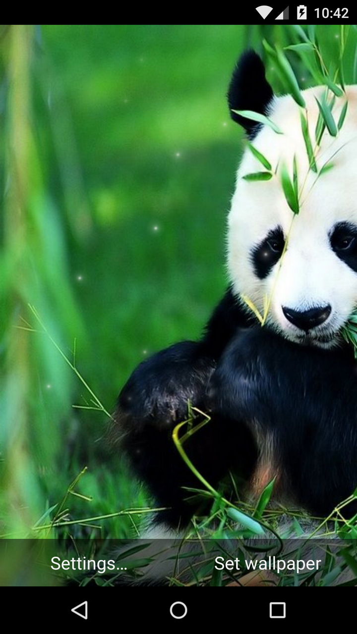 Panda Live Wallpaper HD:Amazon.com:Appstore for Android