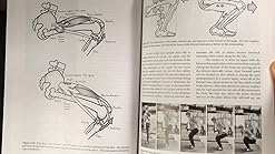 Amazon.com: Starting Strength eBook: Rippetoe, Mark, Kelly, Jason ...