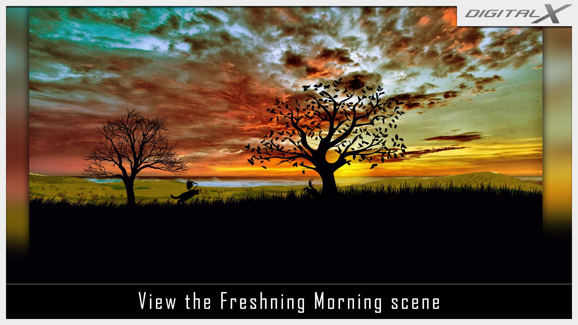 Animated Sun Rise Ambience - A Beautiful Morning Scene:Amazon.ca ...