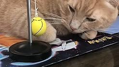 Desktop Tetherball: It's a Wrap! (RP Minis): Goldsher, Alan ...