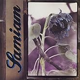 Samiam - ASTRAY - Amazon.com Music