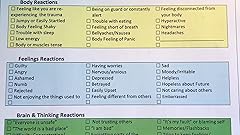 Amazon.com: Trauma Reaction Cards for Children & Adolescents: Toys & Games