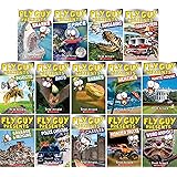 Fly Guy Complete Collection Series Set Books 1-11 (#1 Hi! Fly Guy, #2 ...