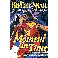A Moment in Time: A Novel: Small, Bertrice: 9780345368638: Amazon.com ...