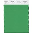 PANTONE Smart 16-6138X Color Swatch Card, Kelly Green - House Paint ...