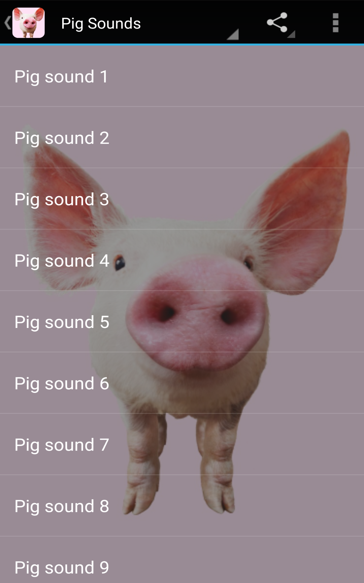 Amazon.com: Pig Sounds: Appstore for Android