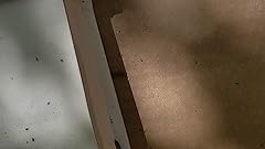 Borne: A Novel: VanderMeer, Jeff: 9780374115241: Amazon.com: Books