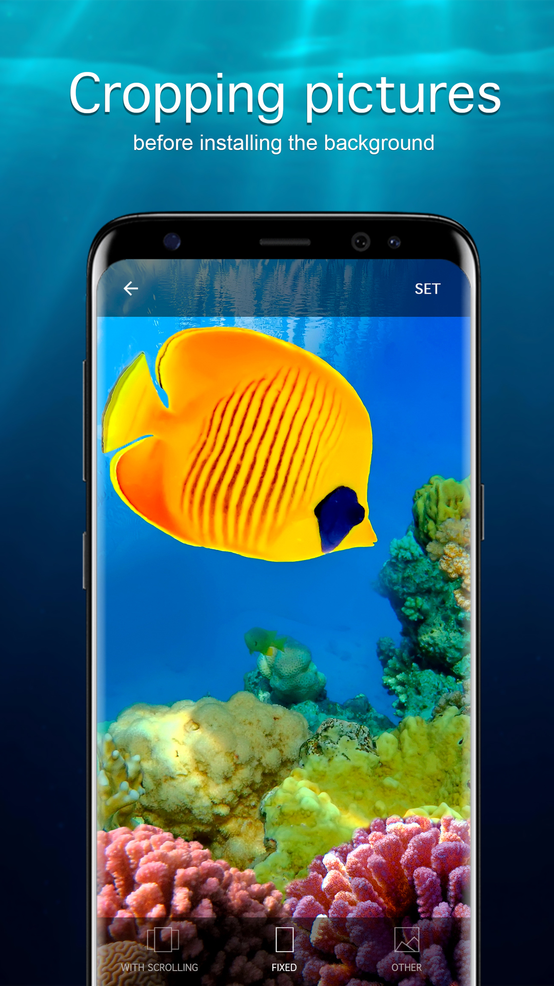 Fish Wallpapers 4K & HD Underwater Backgrounds apps : Amazon.ca: Apps ...