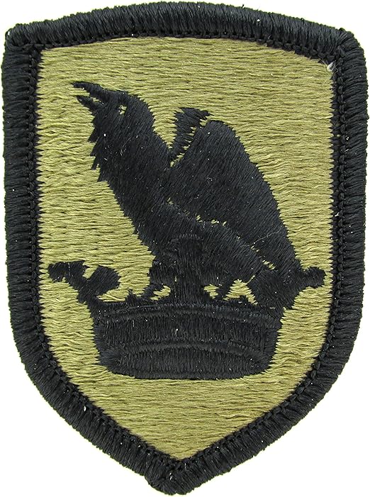 Amazon.com: Washington Army National Guard OCP Patch - Scorpion W2 ...