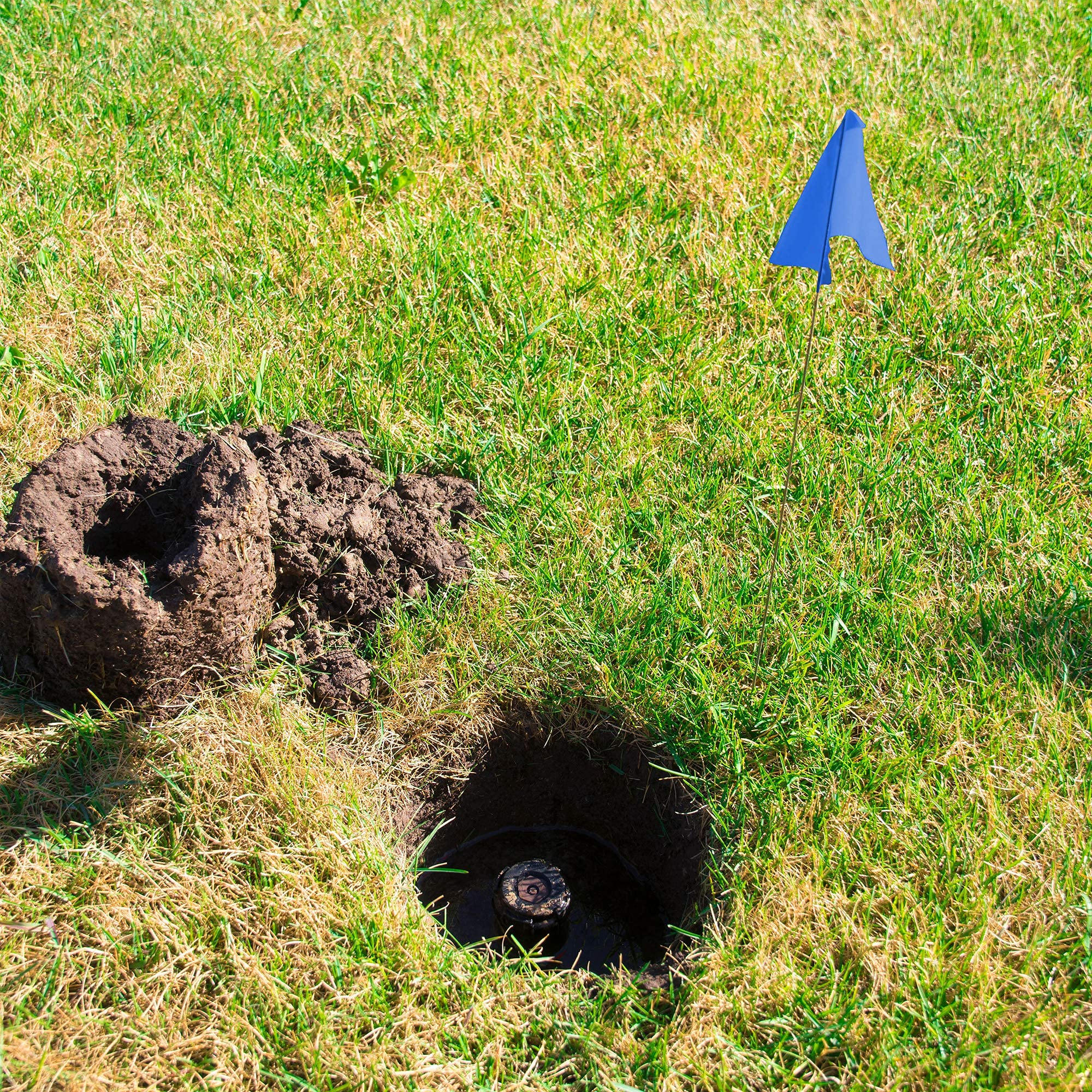 Blue Marking Flags 100 Pack - 4x5x15 Inch Blue Yard Flags - Markers For ...