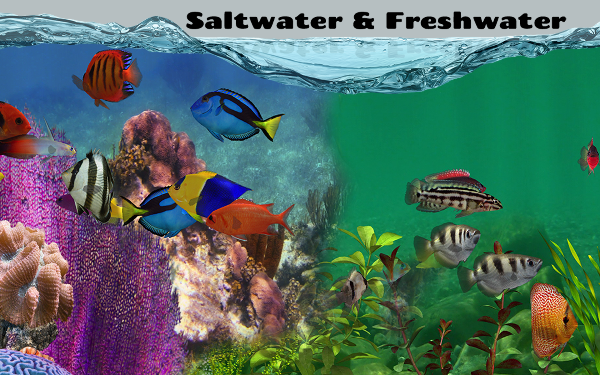 Fish Farm 2:Amazon.co.uk:Appstore for Android