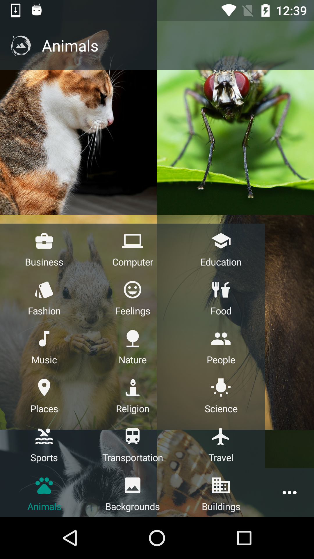 Silax HD Wallpapers:Amazon.co.jp:Appstore for Android