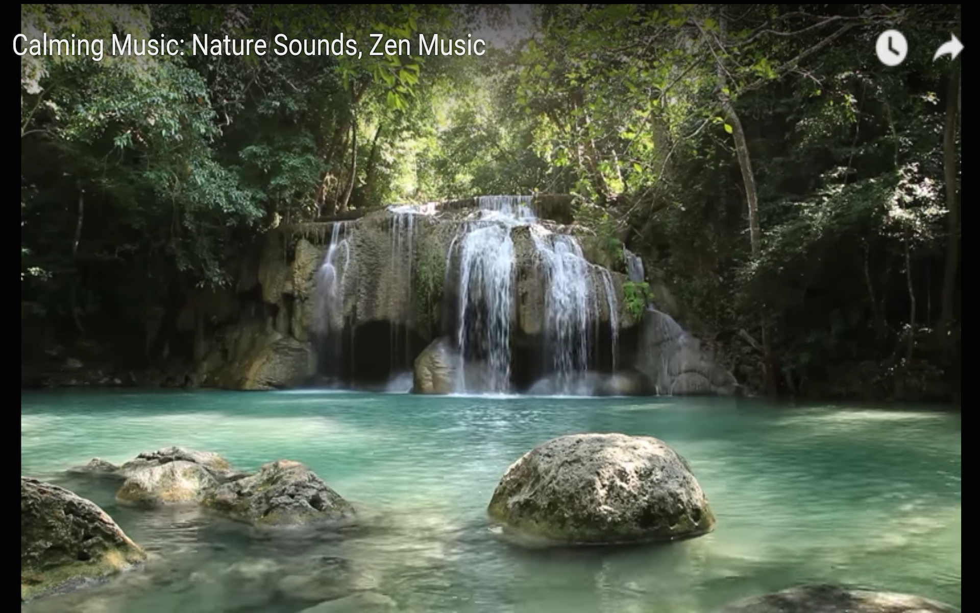 Zen TV:Amazon.es:Appstore for Android