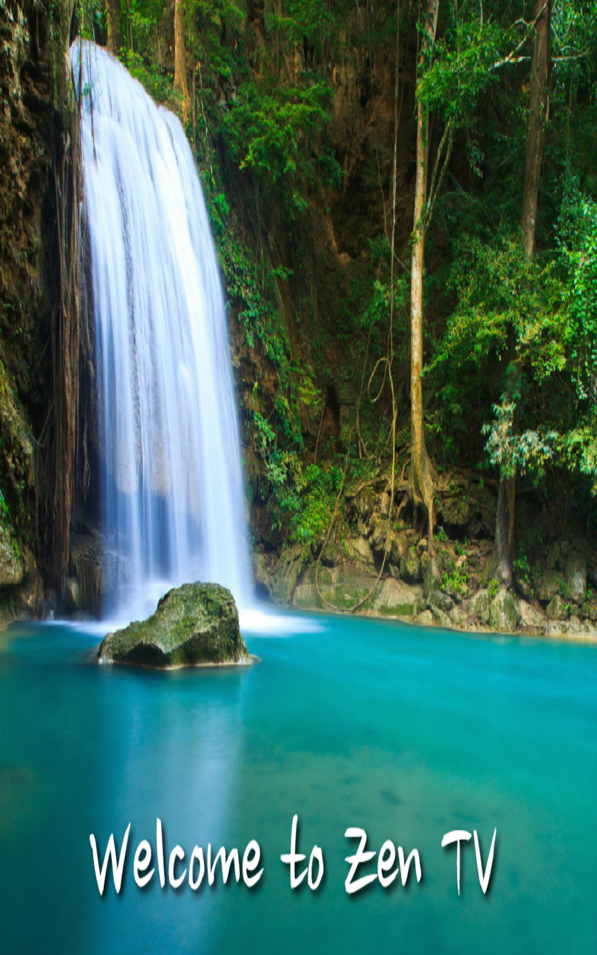 Zen TV:Amazon.co.uk:Appstore for Android