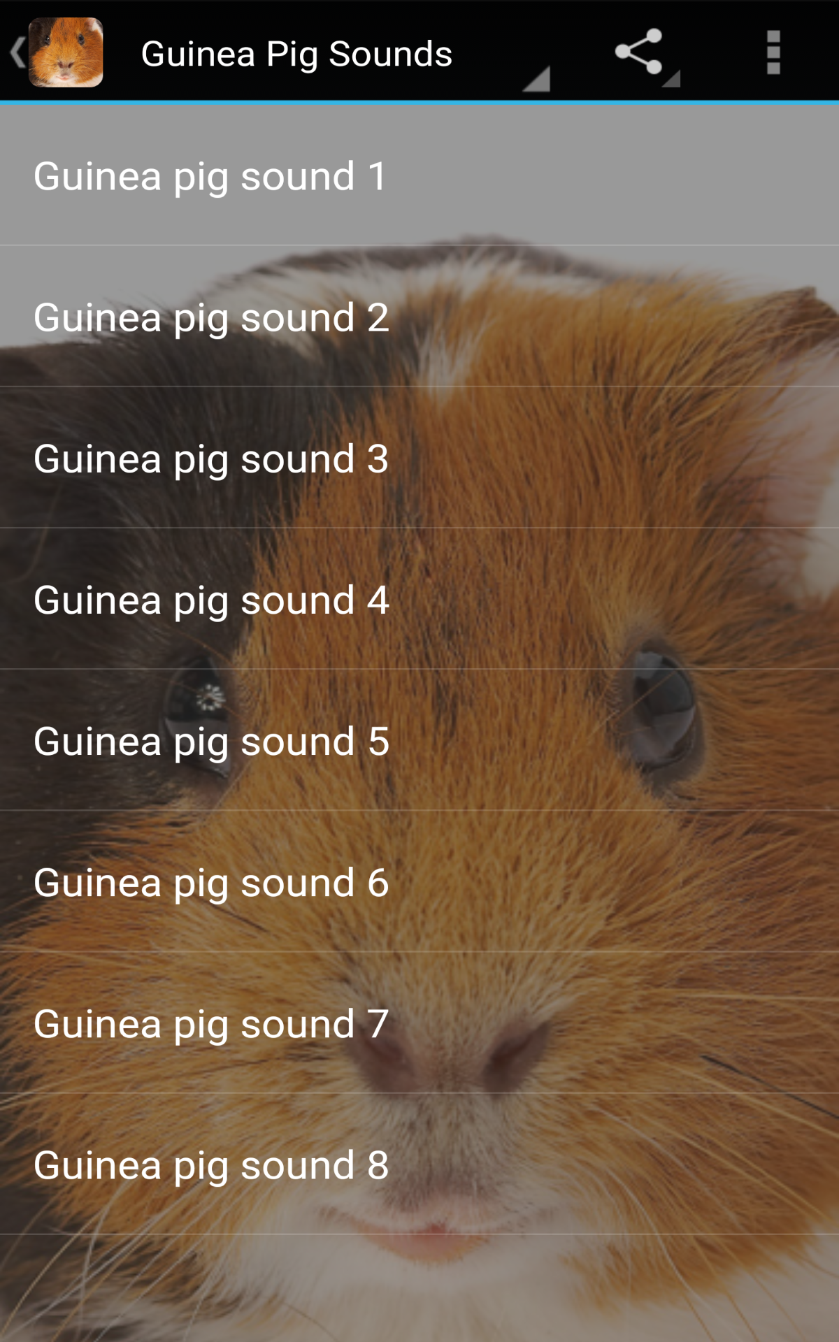 Amazon.com: Guinea Pig Sounds : Apps & Games