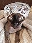 Amazon.com : Kotomoda Shower Caps for Sphynx Cats and Small Pets 20pcs ...