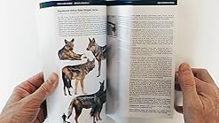 Canids of the World: Wolves, Wild Dogs, Foxes, Jackals, Coyotes, and ...