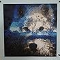 Amazon.com: Wolf Diamond Painting Kits for Adults, Diamond Art Dotz DIY ...