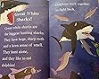 Amazon.com: Wild Sea Creatures: Sharks, Whales and Dolphins! (Wild Kratts) (Step into Reading ...