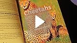 Amazon.com: National Geographic Readers: Cheetahs (8601200553413 ...