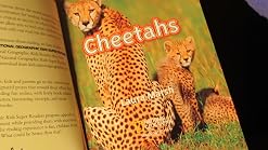 Amazon.com: National Geographic Readers: Cheetahs (8601200553413 ...