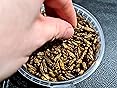 Crunchy Whole Roasted Crickets 48g | Farmed in The UK | Six-Legged ...