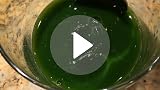 Amazon.com : Dynamic Greens Wheatgrass Juice - 100 Fl Ozs - Just $1.89 ...