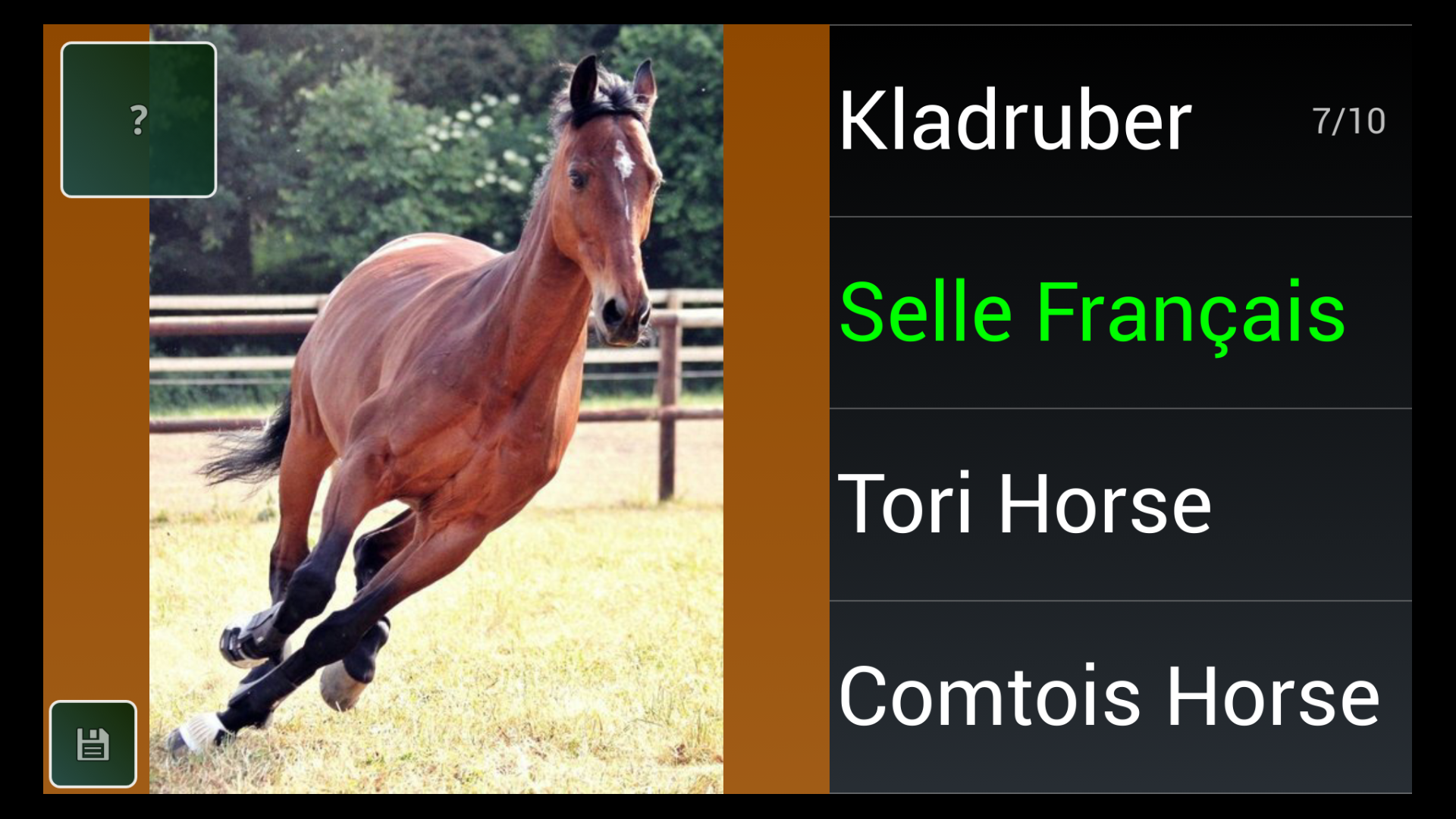 Amazon.com: Name That Horse Breed : Apps & Games