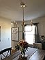 MOTINI 6 Lights Brushed Brass Chandelier Lighting Fixture for Dining ...