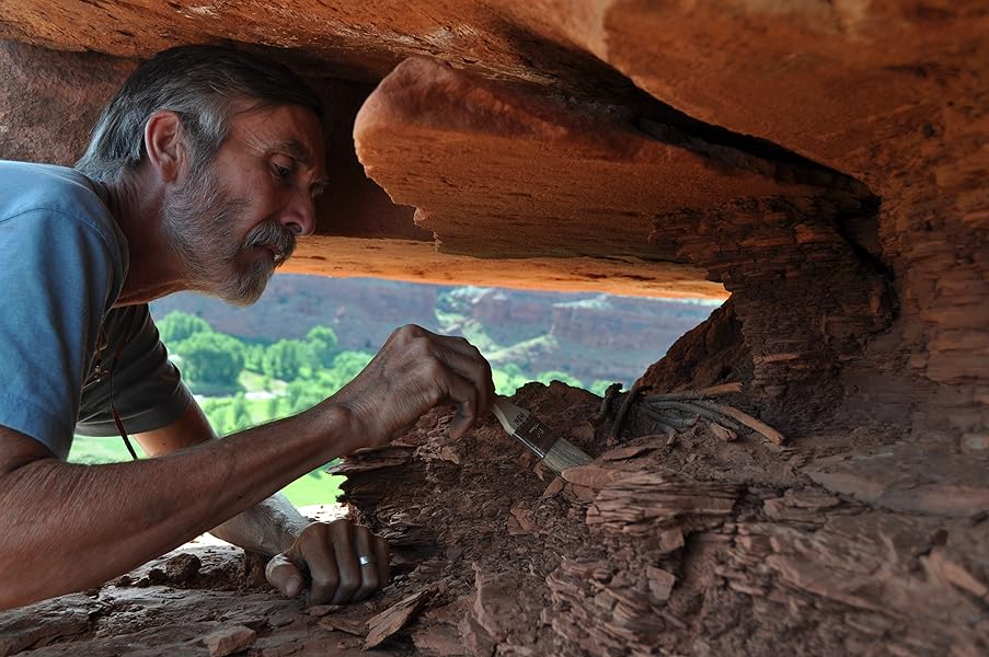 The Fifth Beginning: What Six Million Years of Human History Can Tell ...