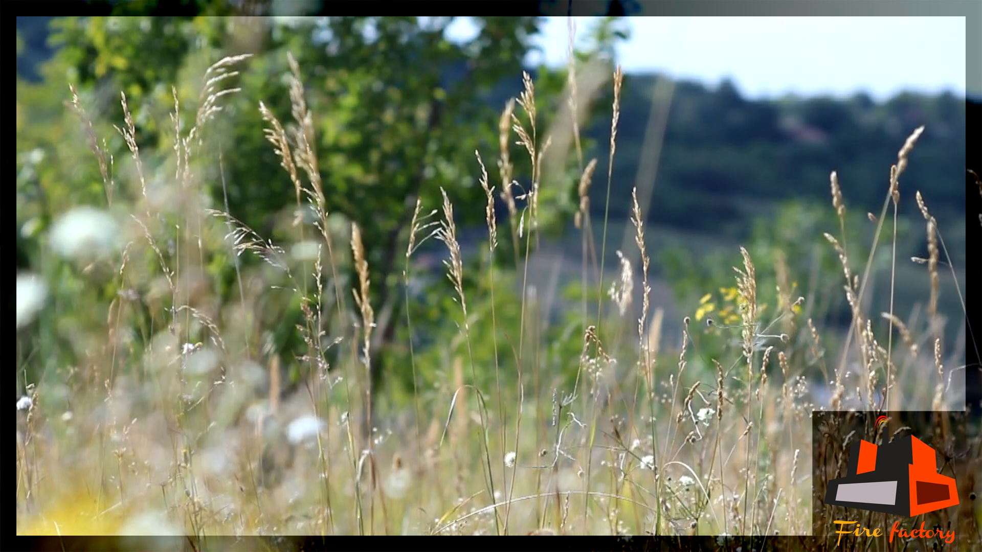 Windy Fields - View the Windy Fields:Amazon.co.uk:Appstore for Android