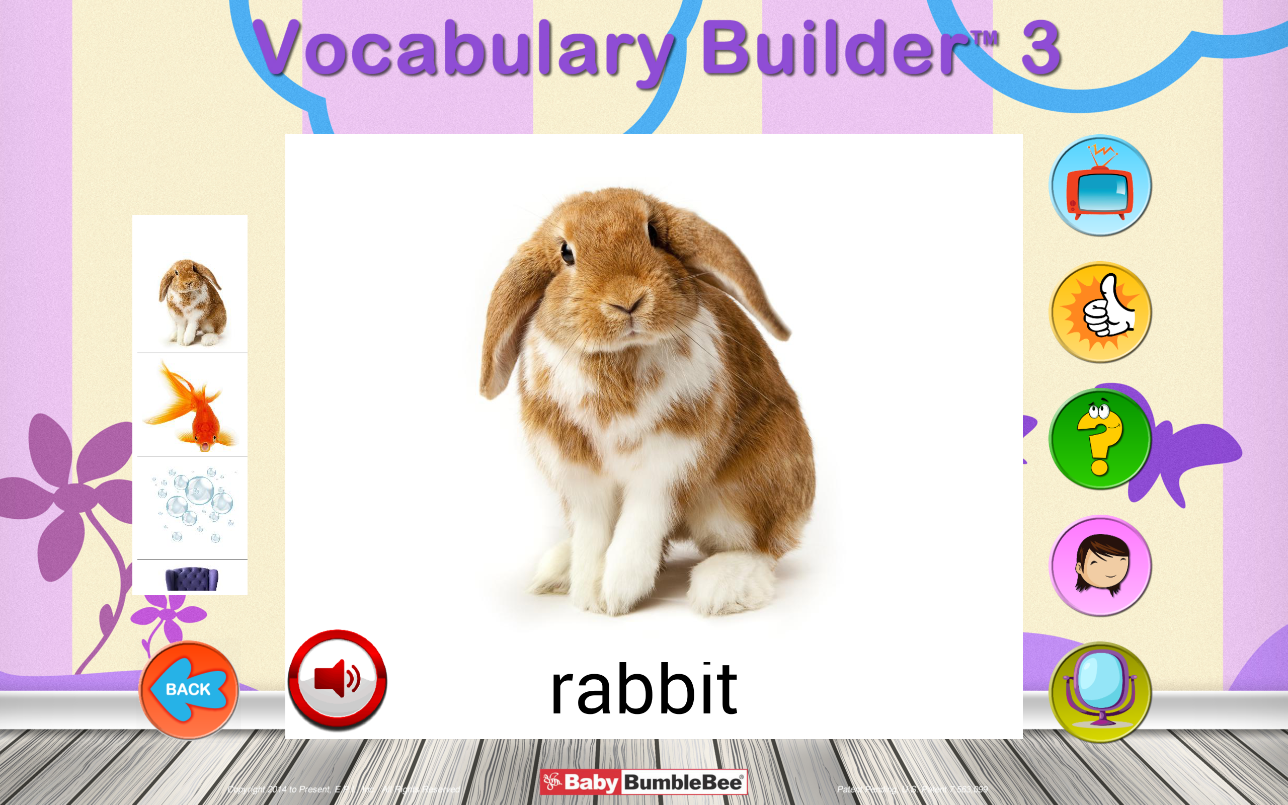 Vocabulary Builder™ 3 Video Flashcard player : Amazon.es: Apps y Juegos