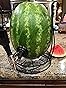 Amazon.com: Watermelon Tap Kit, Watermelon Drink Dispenser Pumpkin ...