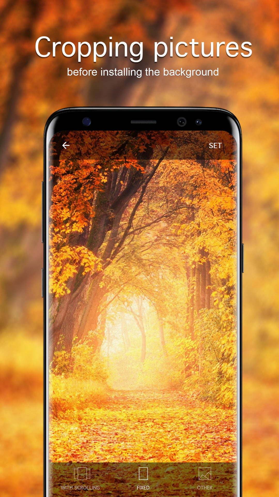 Autumn Wallpapers 4K & HD Backgrounds apps:Amazon.co.jp:Appstore for ...