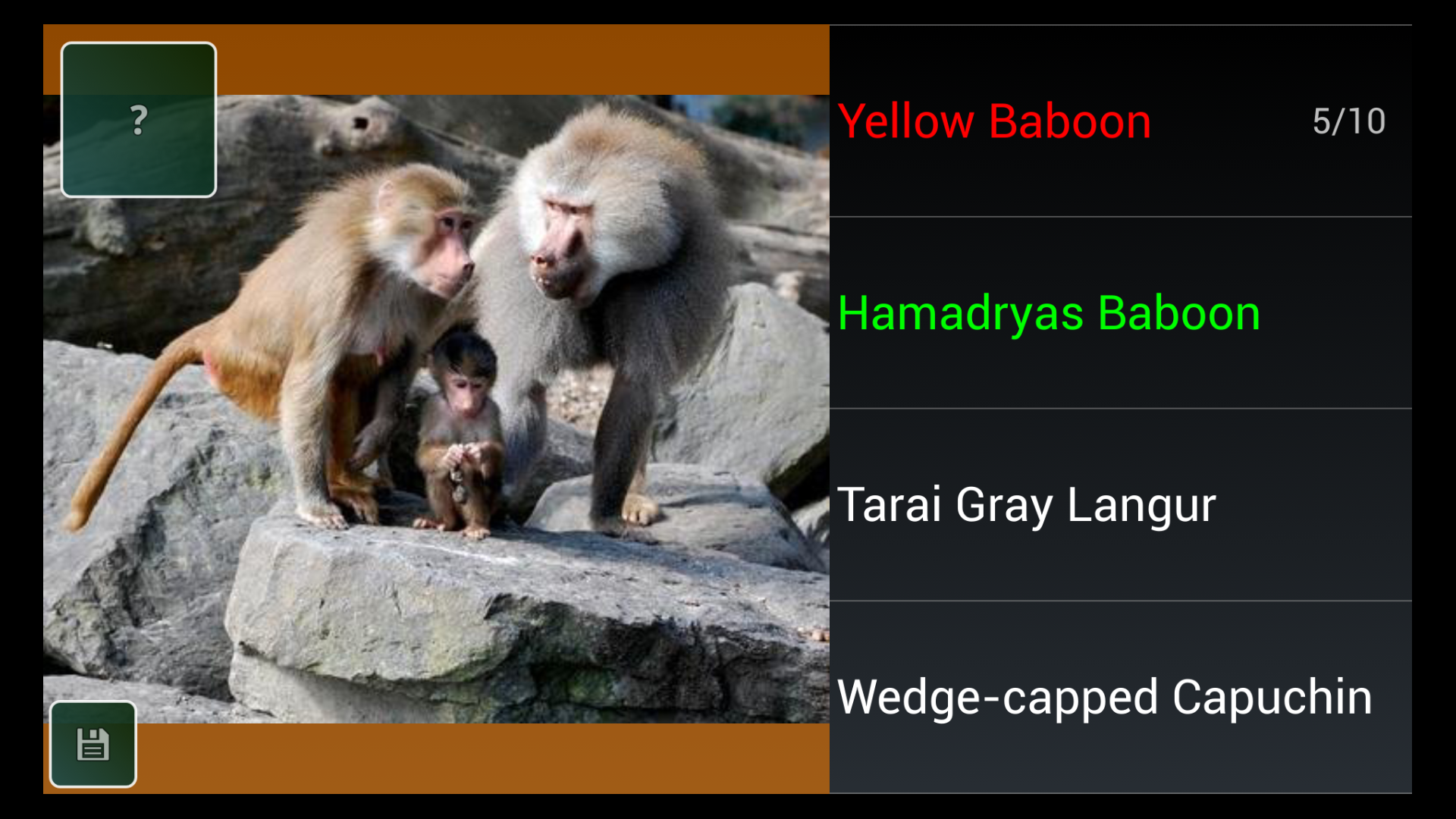 Monkey Species Trivia Quiz:Amazon.com:Appstore for Android
