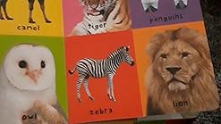 Amazon.com: First 100 Board Book Box Set (3 books): First 100 Words ...