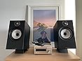 Amazon.com: Audioengine DS2 Desktop Speaker Stands, Vibration Damping ...
