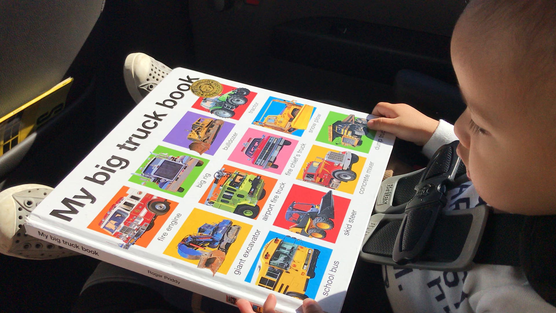 My Big Truck Book (My Big Board Books): Roger Priddy: 9780312511067 ...