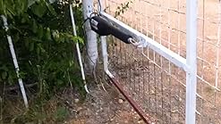 Amazon.com: Mighty Mule Automatic Gate Opener for Medium Duty Single ...