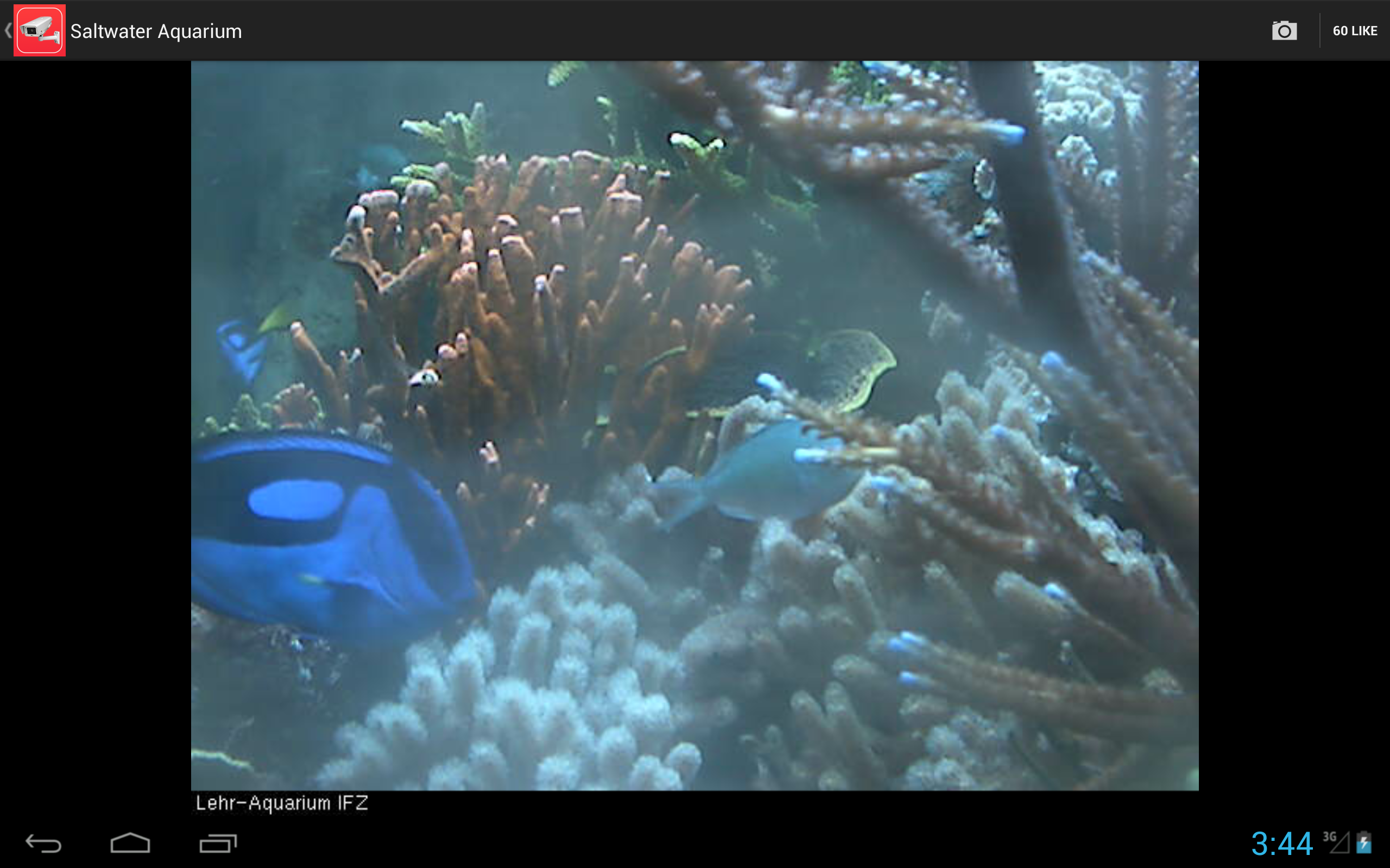 Live Camera Viewer for IP Cams:Amazon.co.uk:Appstore for Android