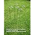 Metal Plant Supports Loop Stakes 5 pack 80cm, 100cm or 130cm tall (80cm ...