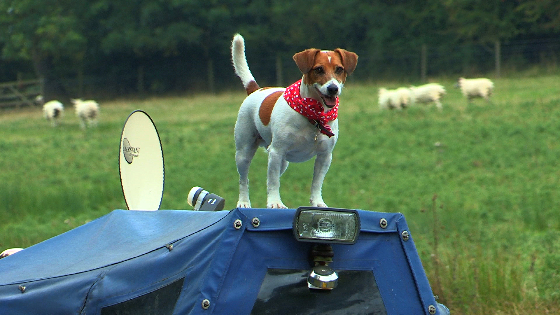 Chico Chugg picture mix up:Amazon.de:Appstore for Android