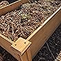 Amazon.com: Giantex U-Shaped Raised Garden Bed, Wood Raised Garden ...